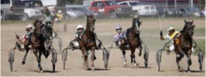 Harness Horse Racing - Allegan County Fair - Allegan Area Chamber