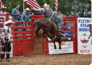 Fly Star Rodeo - Allegan County Fair - Allegan Area Chamber